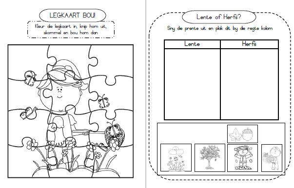 Seisoene werkboek - Juffrou 911
