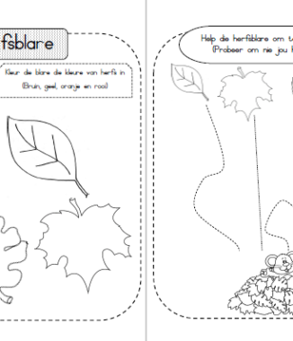 seisoene Archives - Juffrou 911