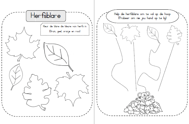 Seisoene werkboek - Juffrou 911