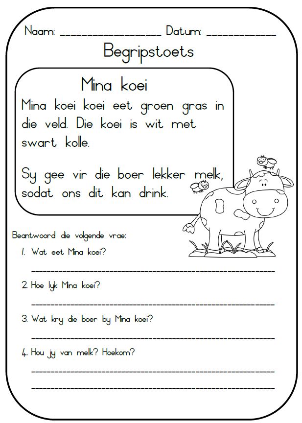 Begripstoets - Juffrou 911