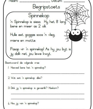 Graad 2 Archives - Juffrou 911