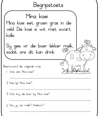 Begripstoets Archives - Juffrou 911