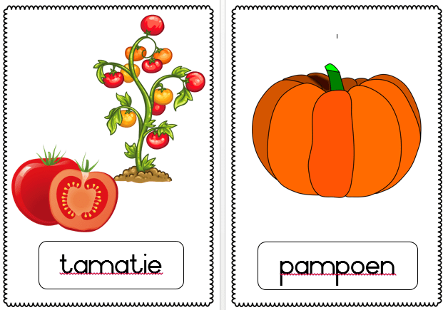 Groente - Juffrou 911