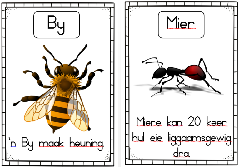 Insekte - Juffrou 911