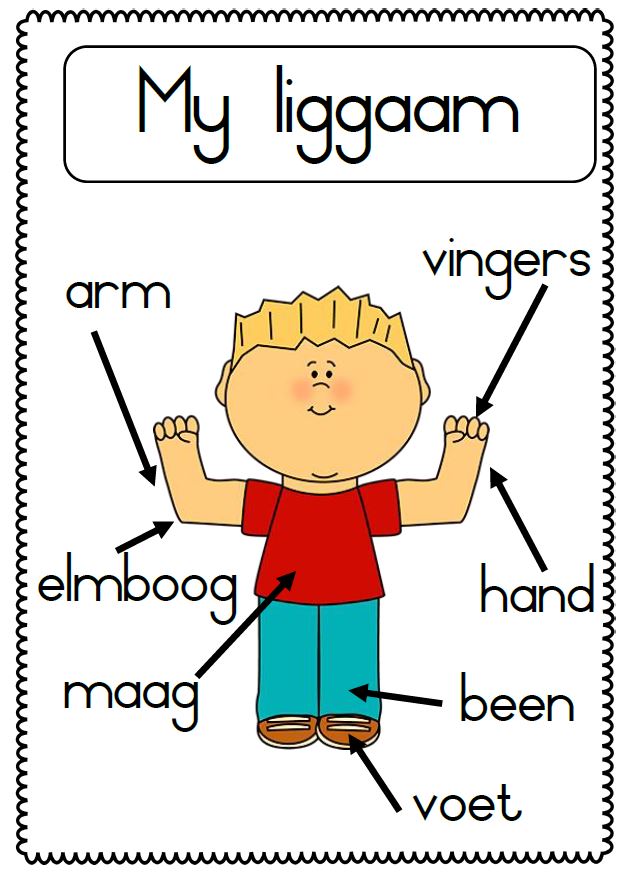 My liggaam - Juffrou 911