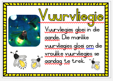 Nagdiere - Juffrou 911