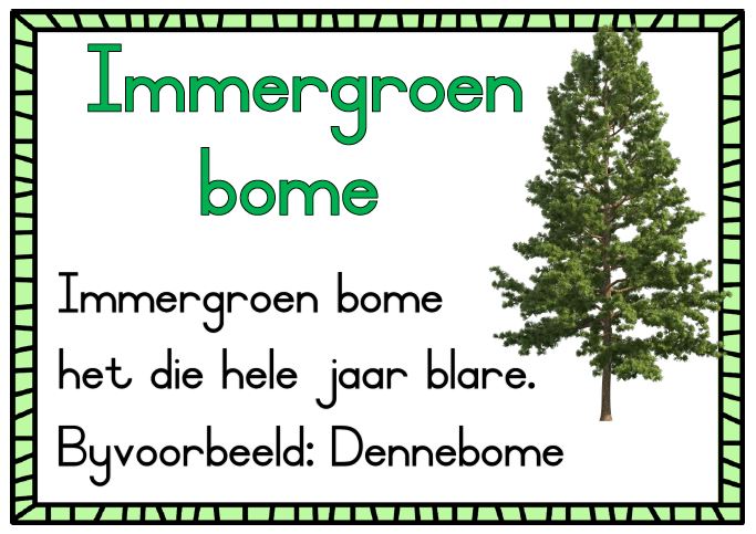 Bladwisselende en Immergroen bome - Juffrou 911