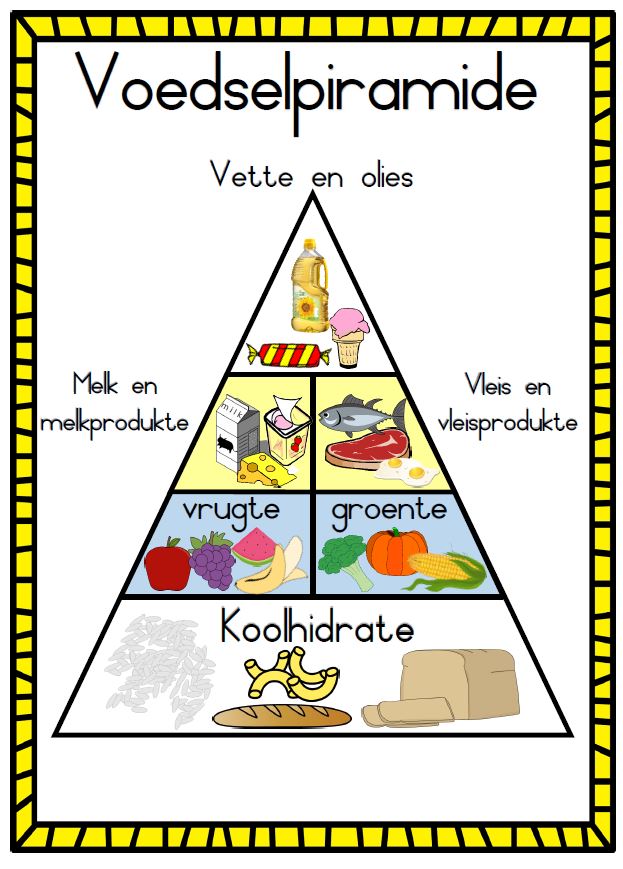 Voedselsoorte + Gesonde bord kos + Voeselpiramide - Juffrou 911
