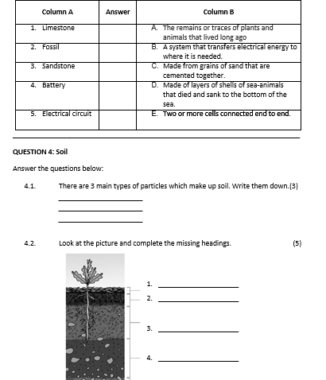 grade 5 Archives - Juffrou 911