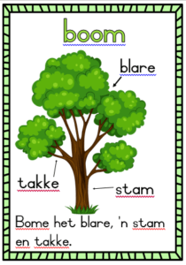 Bome en Plante -Graad R - Juffrou 911