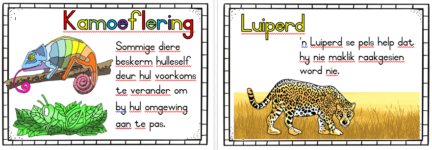 Graad 2 Lewensvaardigheid muurkaarte - Kwartaal 2 - Juffrou 911