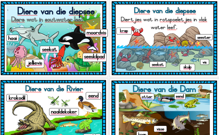 Graad 2 Lewensvaardigheid muurkaarte - Kwartaal 2 - Juffrou 911