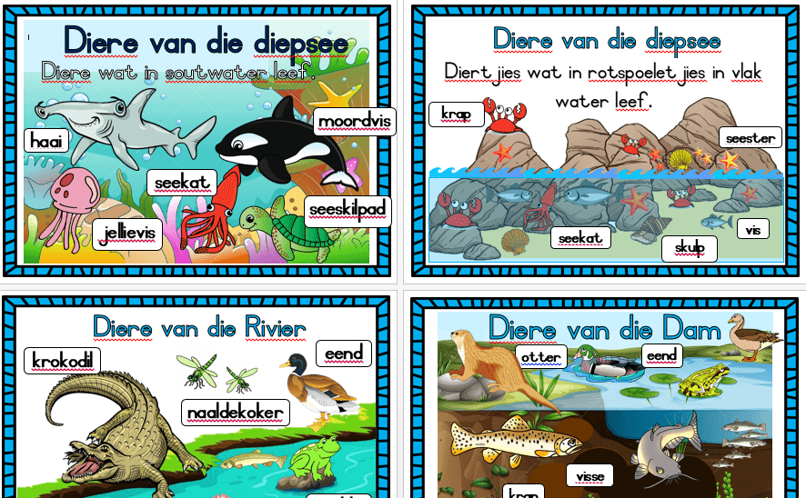 Graad 2 Lewensvaardigheid muurkaarte - Kwartaal 2 - Juffrou 911