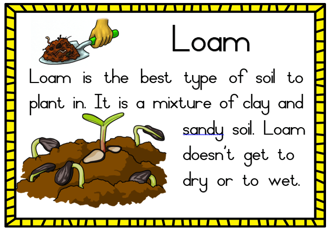 -Grade 2 Life skills posters TERM 3 - Juffrou 911