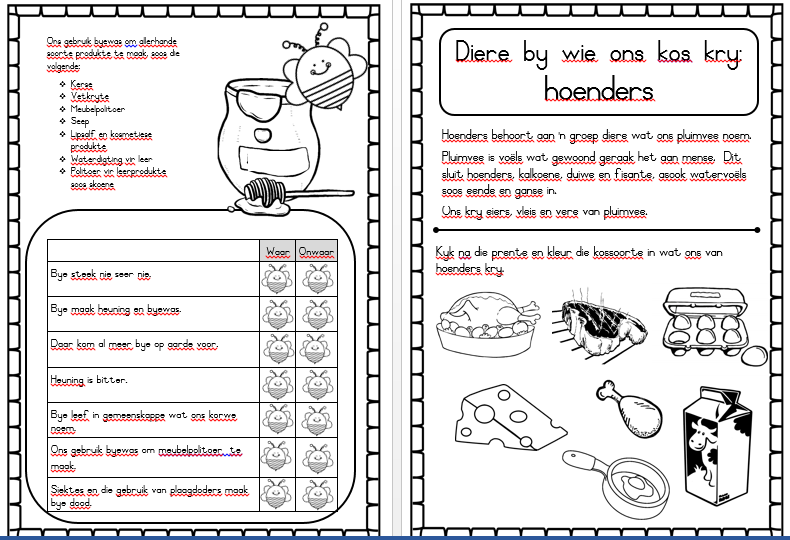 - Graad 3 Lewensvaardigheid Werkboek Kwartaal 4 - Juffrou 911