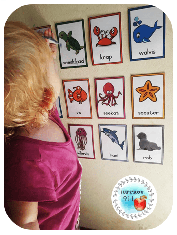 By die see met gekleurde rys + Seediere prente - Juffrou 911