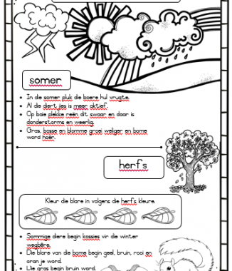 Graad 4 En 5 Begripstoets 2 Afrikaans Hulp