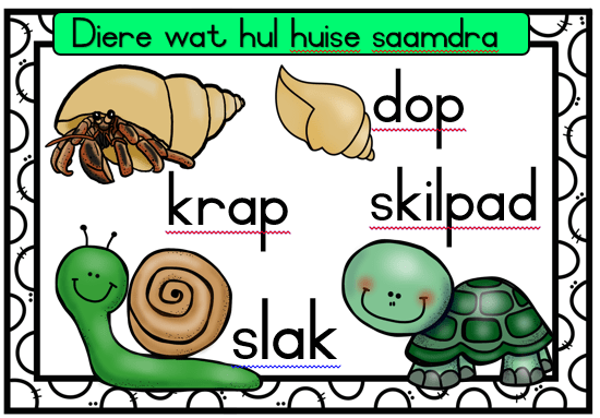 Diere en hul skuilings - Juffrou 911