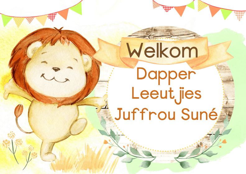 Leeu PAKKET - Afrikaans - Juffrou 911